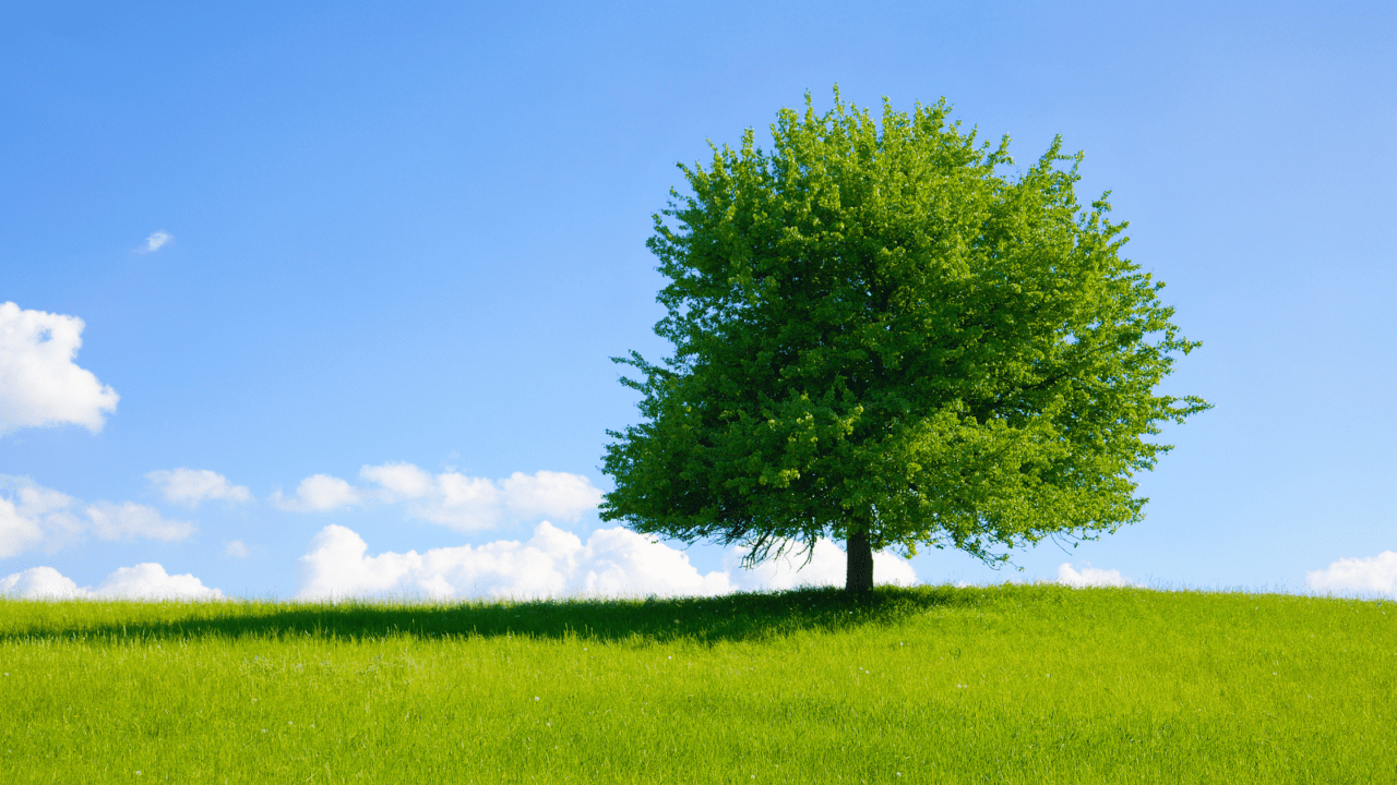 Throughout the Decades • Fusion Financial Group